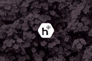 Meet Your Support Team - Hively Health